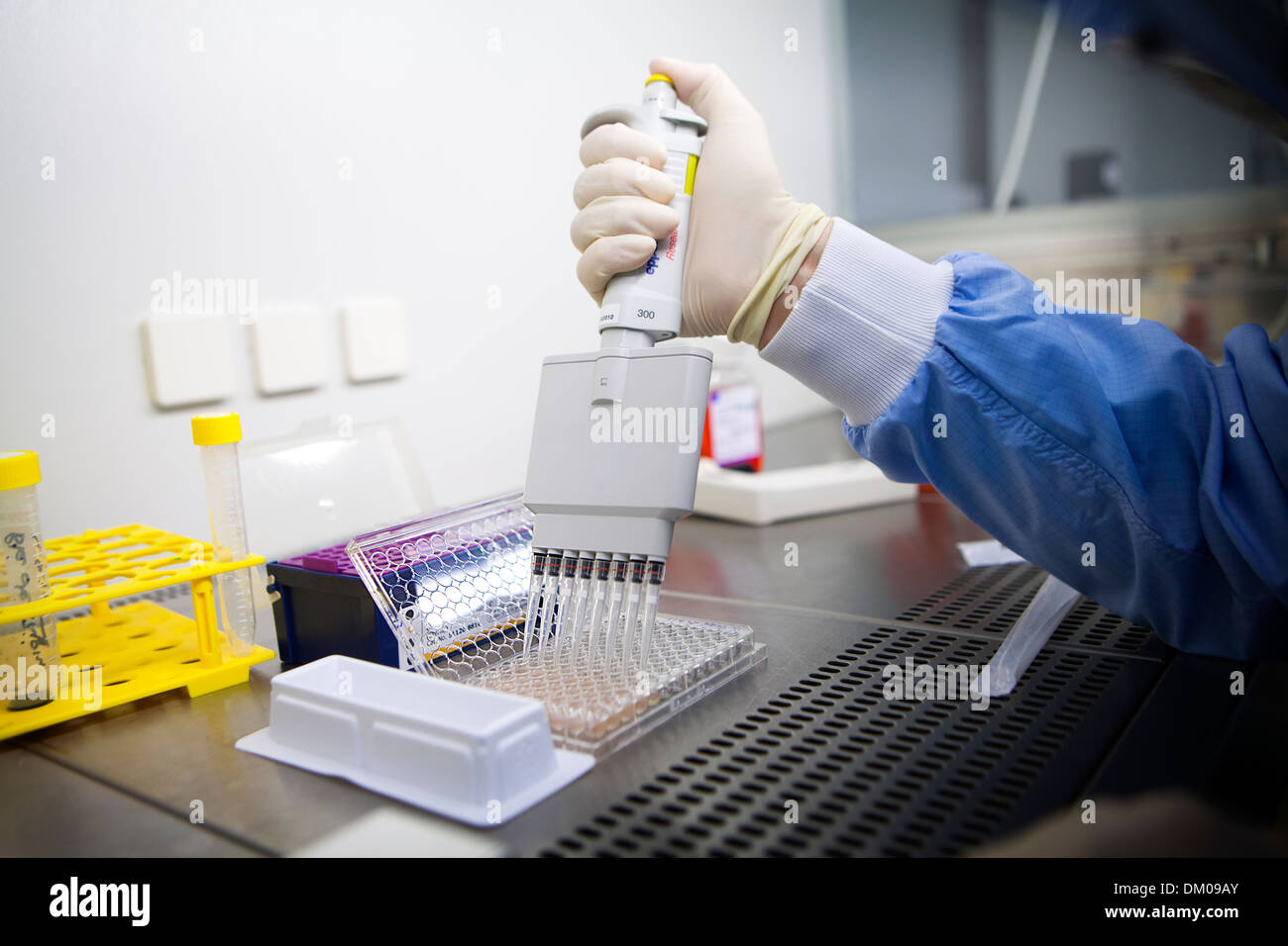 Cancer research hi-res stock photography and images - Alamy