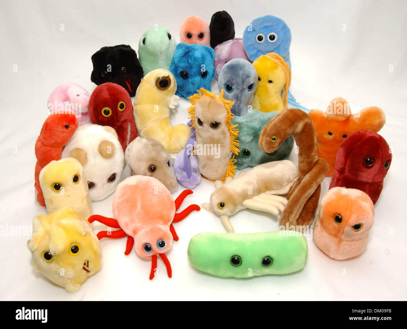 2005 andrea renault hi-res stock photography and images - Alamy