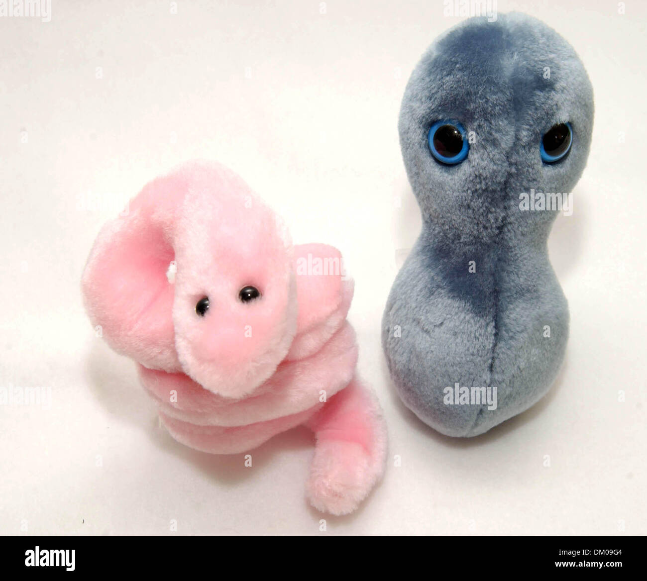 2005 andrea renault hi-res stock photography and images - Alamy