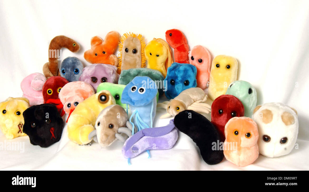 2005 andrea renault hi-res stock photography and images - Alamy