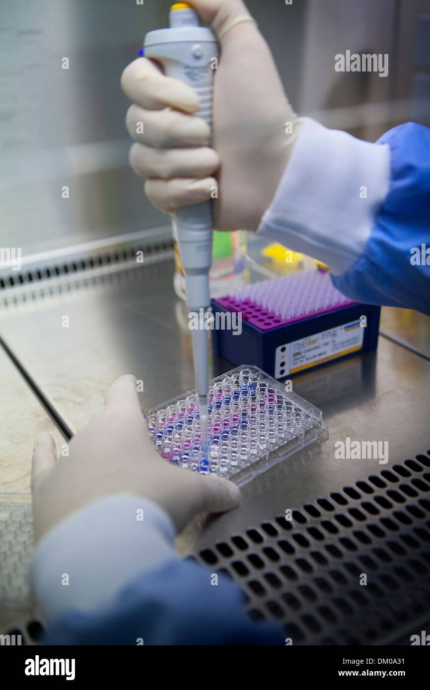 Cell culture cancer research hi-res stock photography and images - Alamy