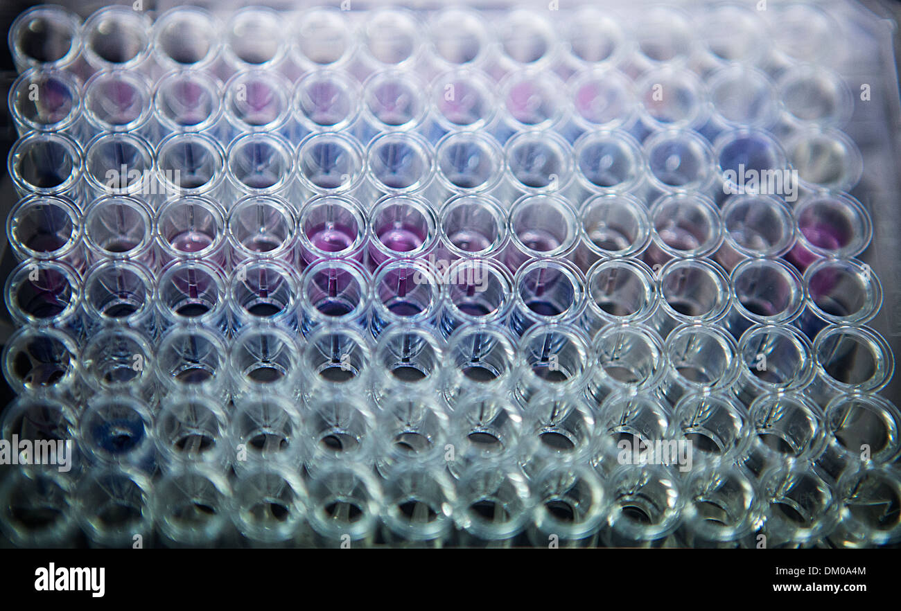 Cell culture cancer research hi-res stock photography and images - Alamy