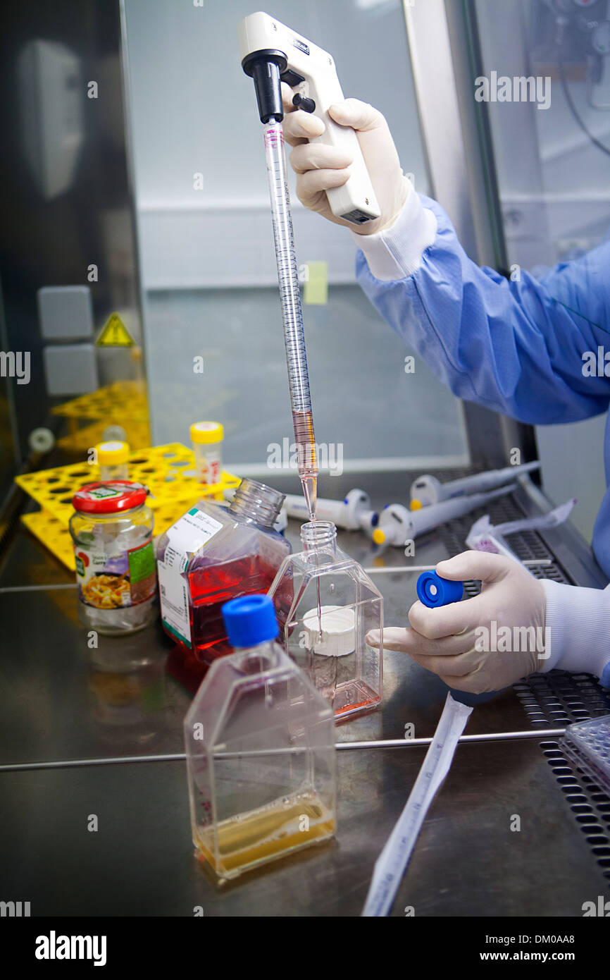 Cell culture cancer research hi-res stock photography and images - Alamy