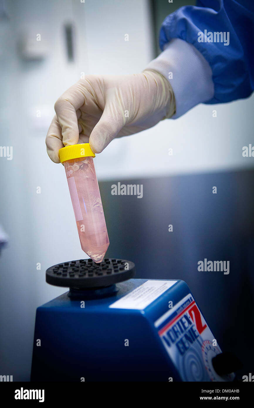 Cell culture cancer research hi-res stock photography and images - Alamy