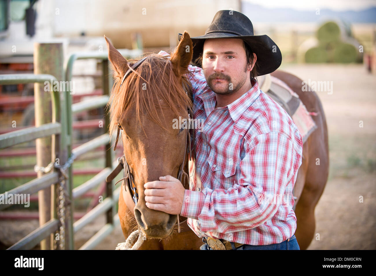 Utah cowboy hi-res stock photography and images - Alamy