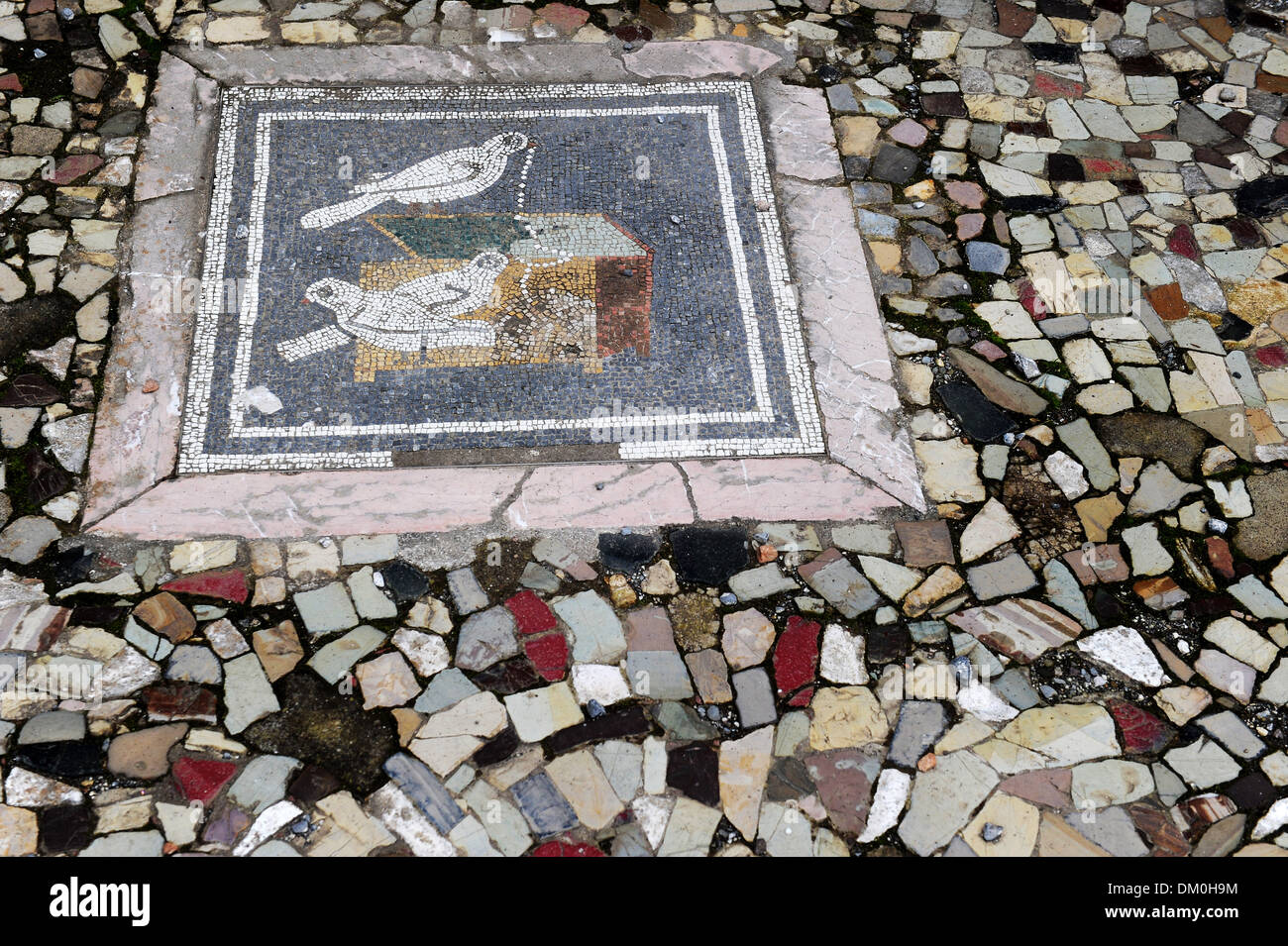 Pompeii floor tiles hi-res stock photography and images - Alamy