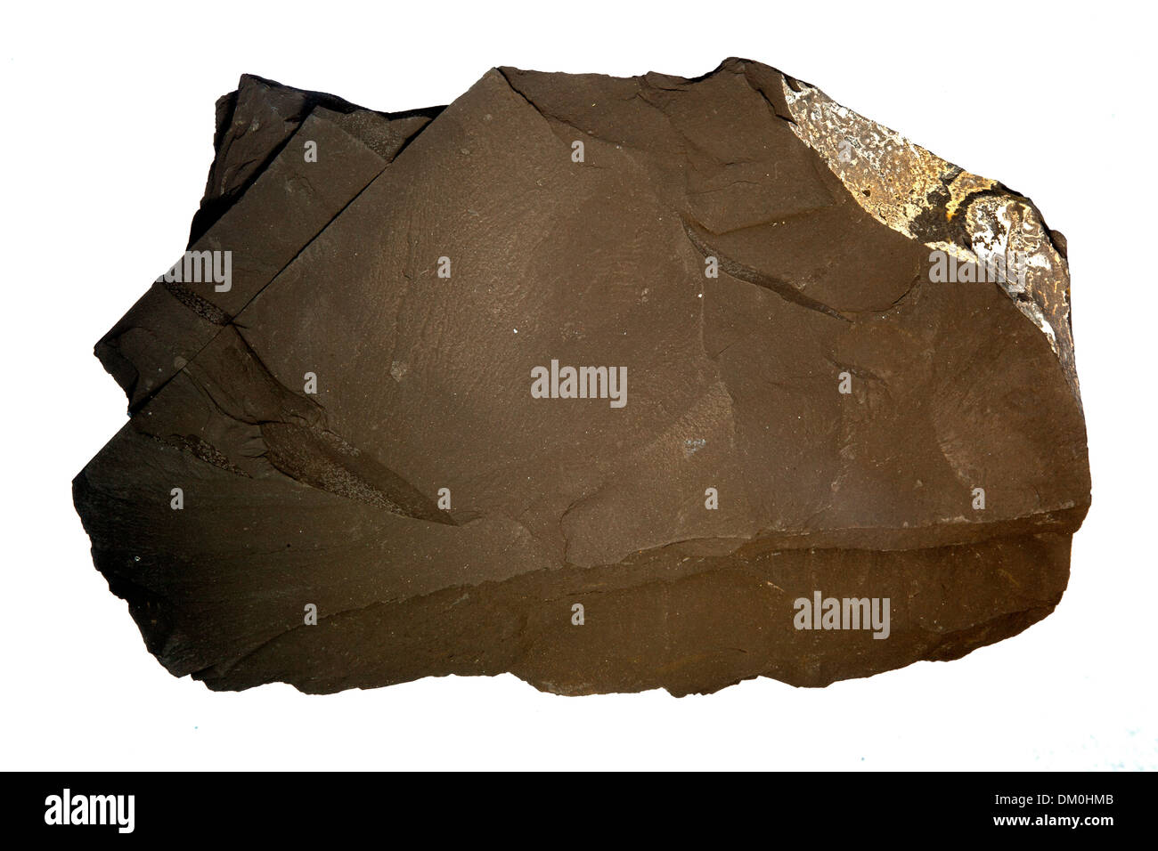 Shale gas Cut Out Stock Images & Pictures - Alamy