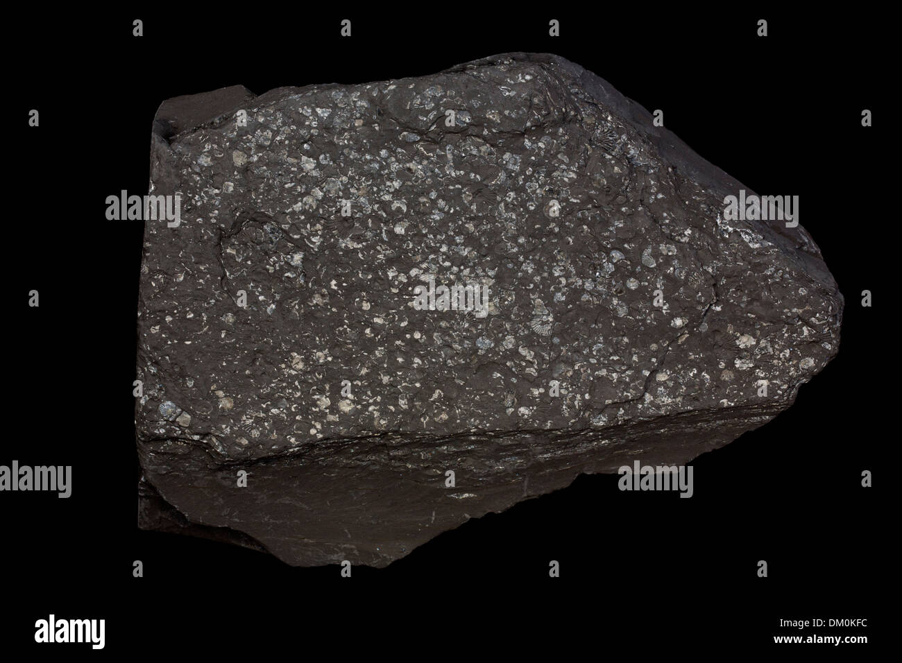 Marcellus shale, near Marcellus New York, source of natural gas ...