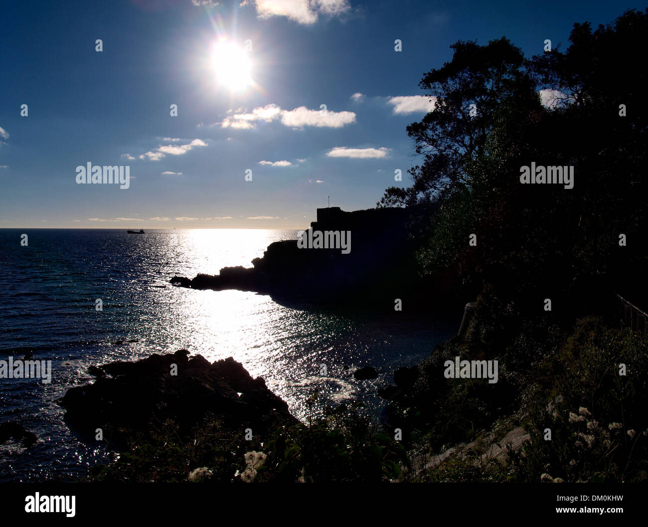 St Catherine's Castle, Fowey, Cornwall, UK Stock Photo - Alamy
