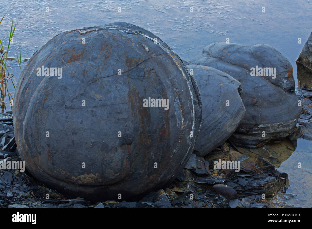 Marcellus shale, near Marcellus New York, source of natural gas ...