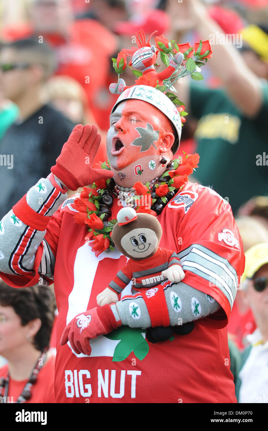 Ohio state fan big nut hi-res stock photography and images - Alamy