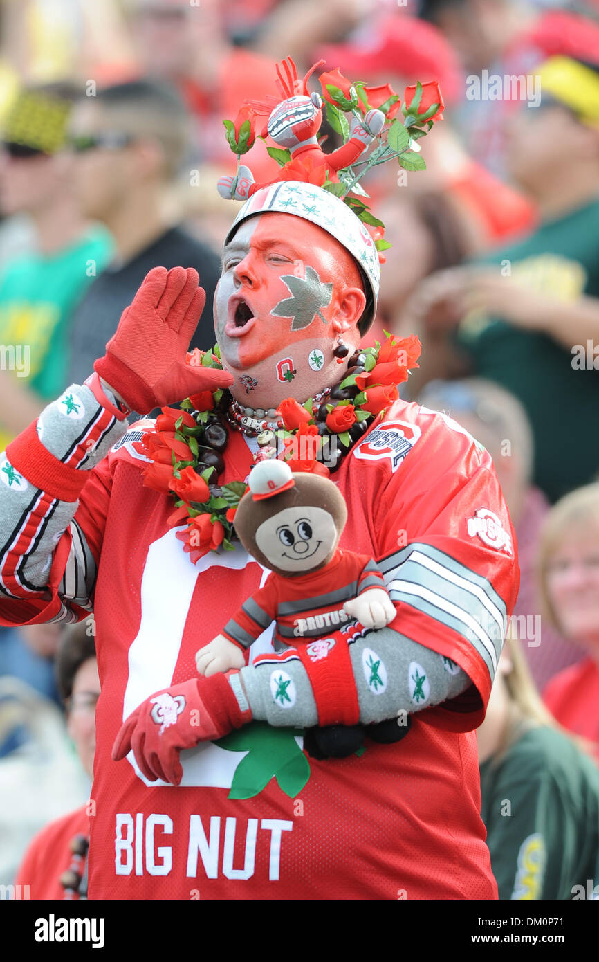 The Ohio State Nut High Resolution Stock Photography and Images - Alamy