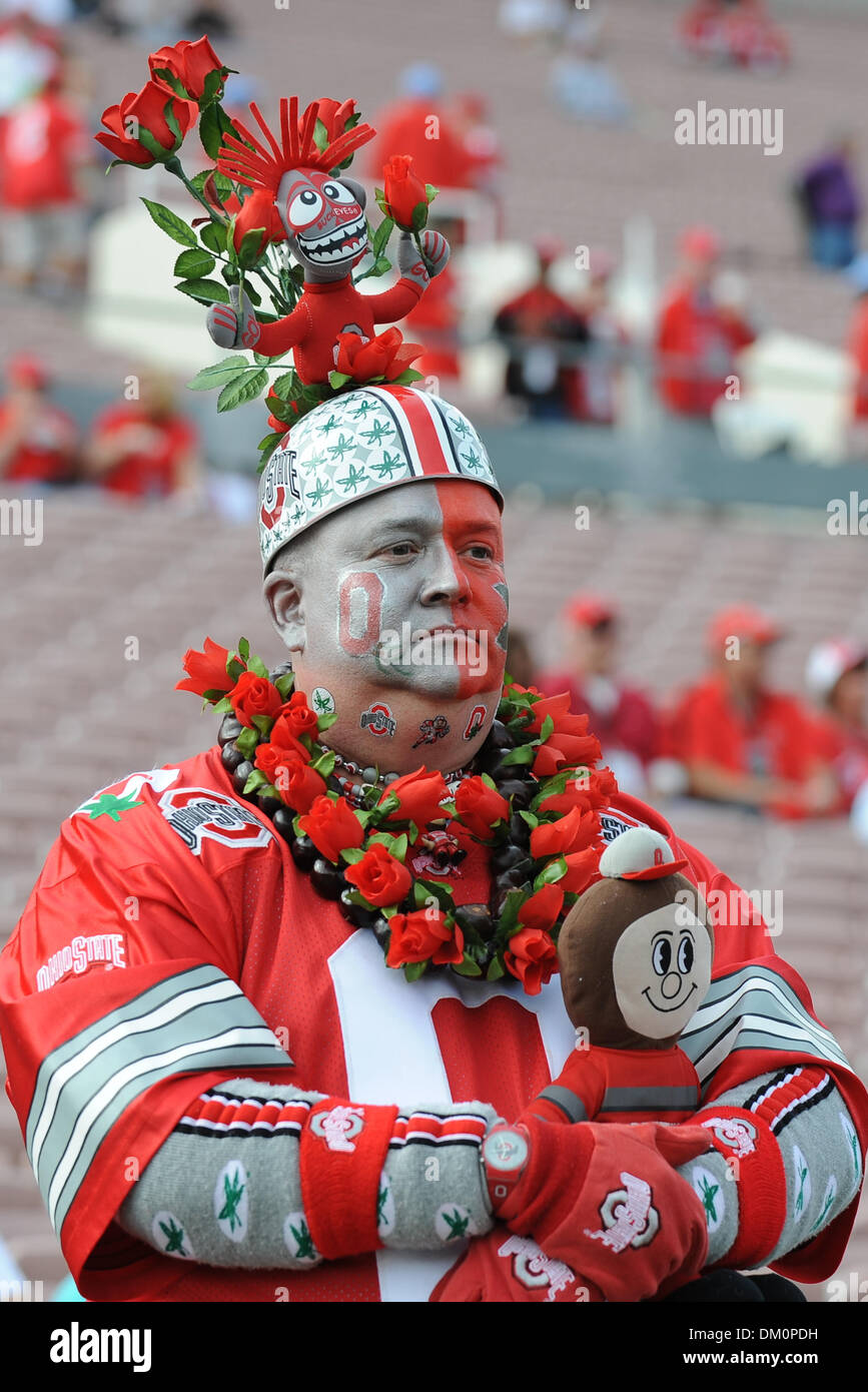 Ohio state fan big nut hi-res stock photography and images - Alamy