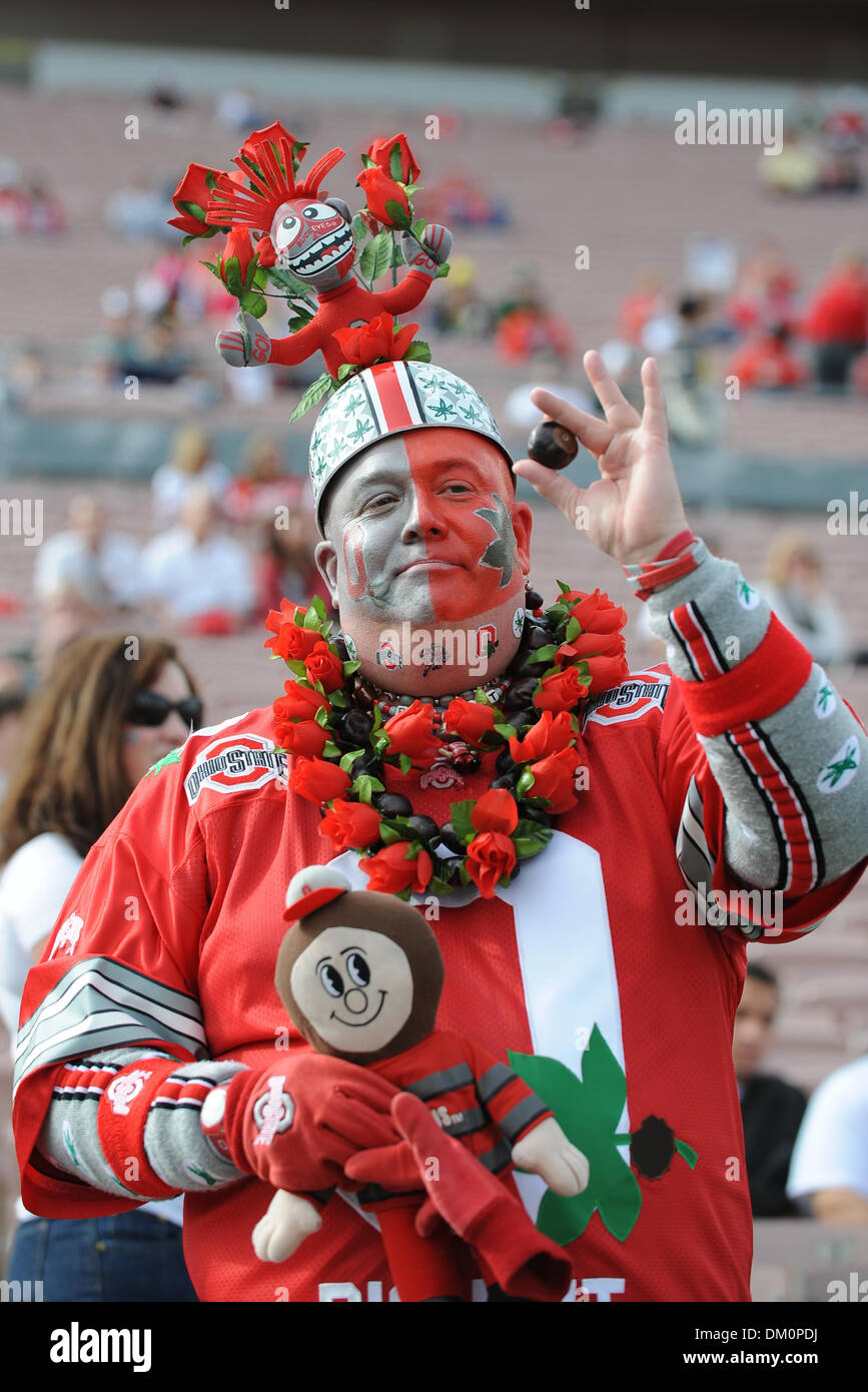 Ohio state fan big nut hi-res stock photography and images - Alamy