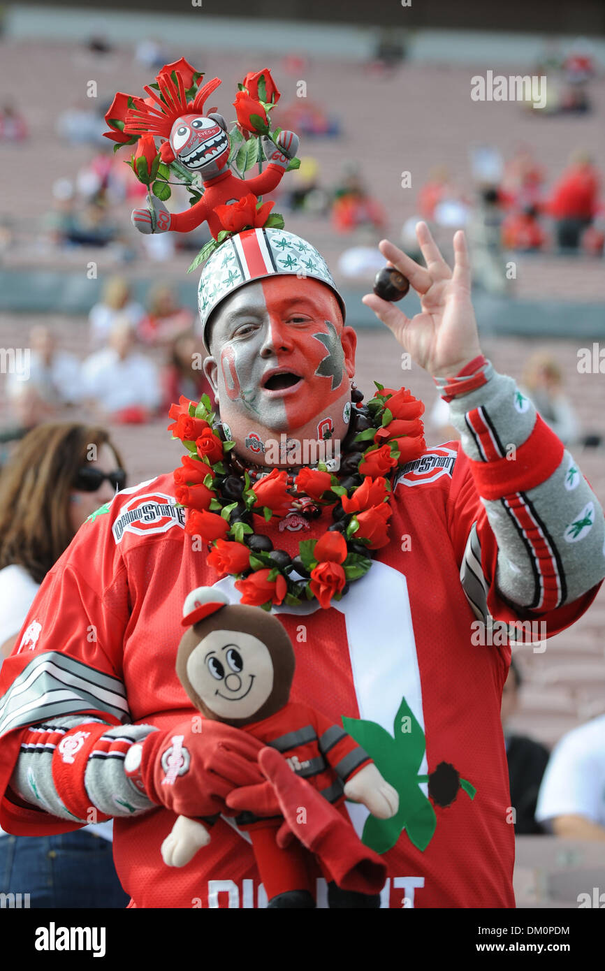 The ohio state nut hi-res stock photography and images - Alamy