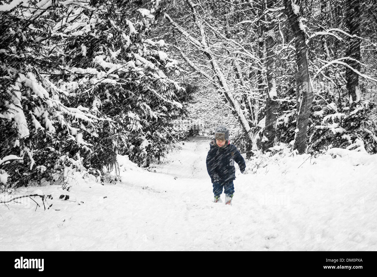 Small child walking through snow and trees Stock Photo - Alamy