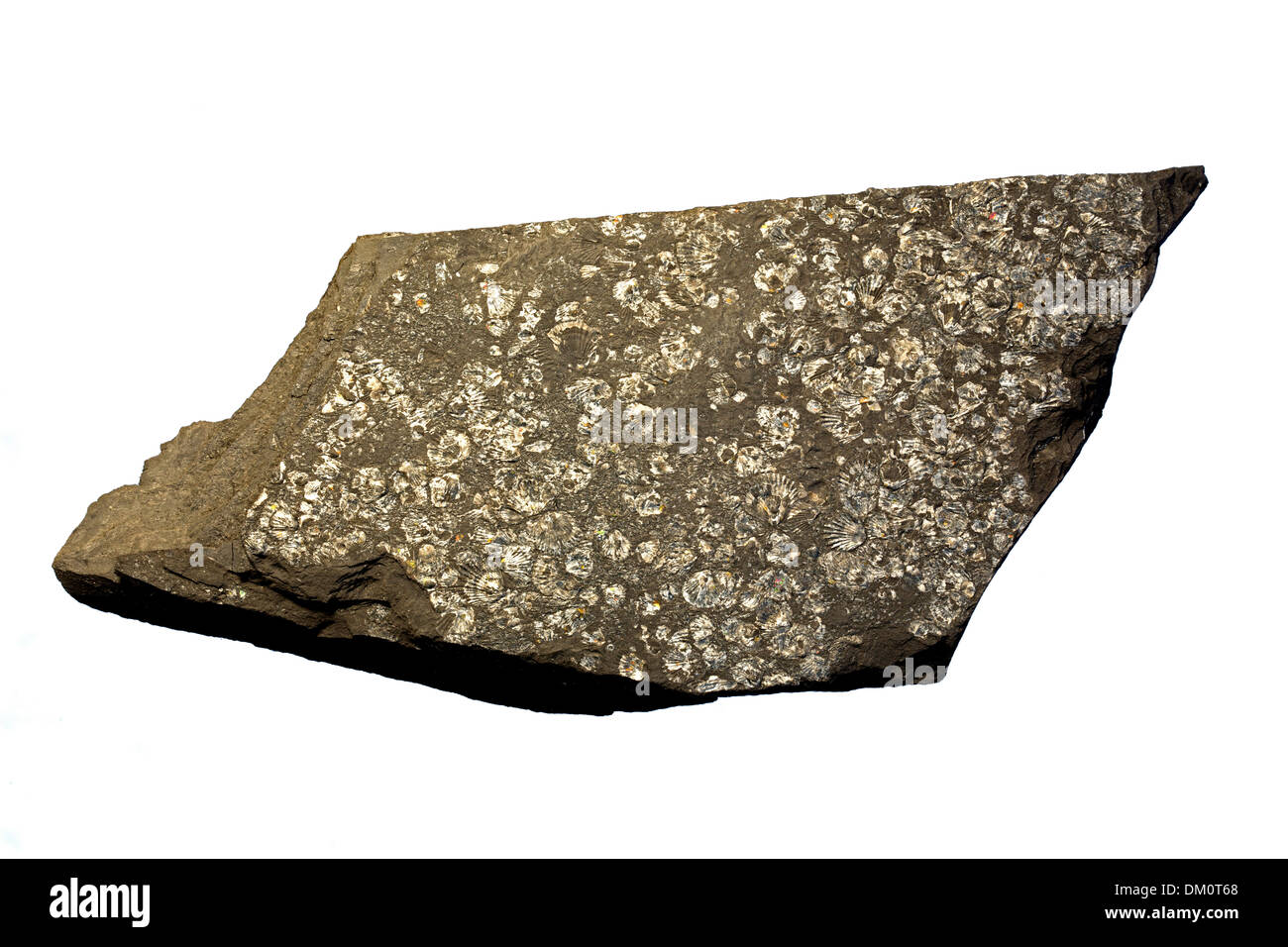 Sedimentary rock new york hi-res stock photography and images - Alamy