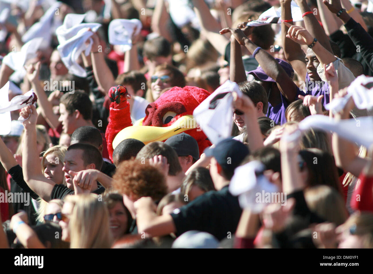 Mascot cocky hi-res stock photography and images - Alamy