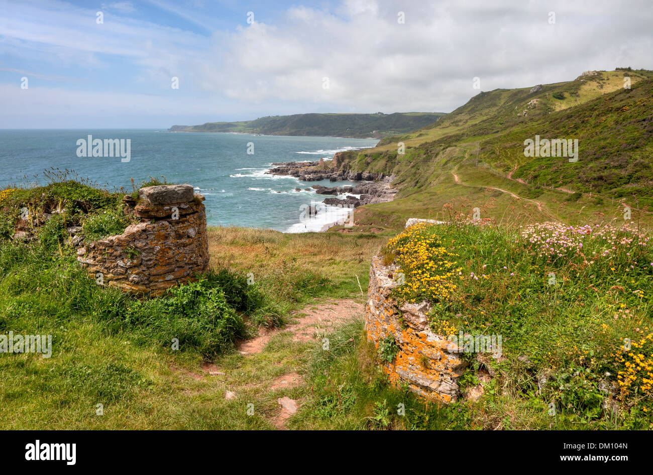 Stone walls and wild flowers at Great Mattiscombe Sand, Devon, England ...