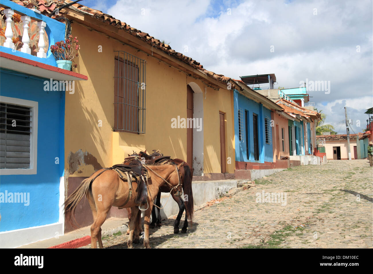 Trinidad cuban horses hi-res stock photography and images - Alamy