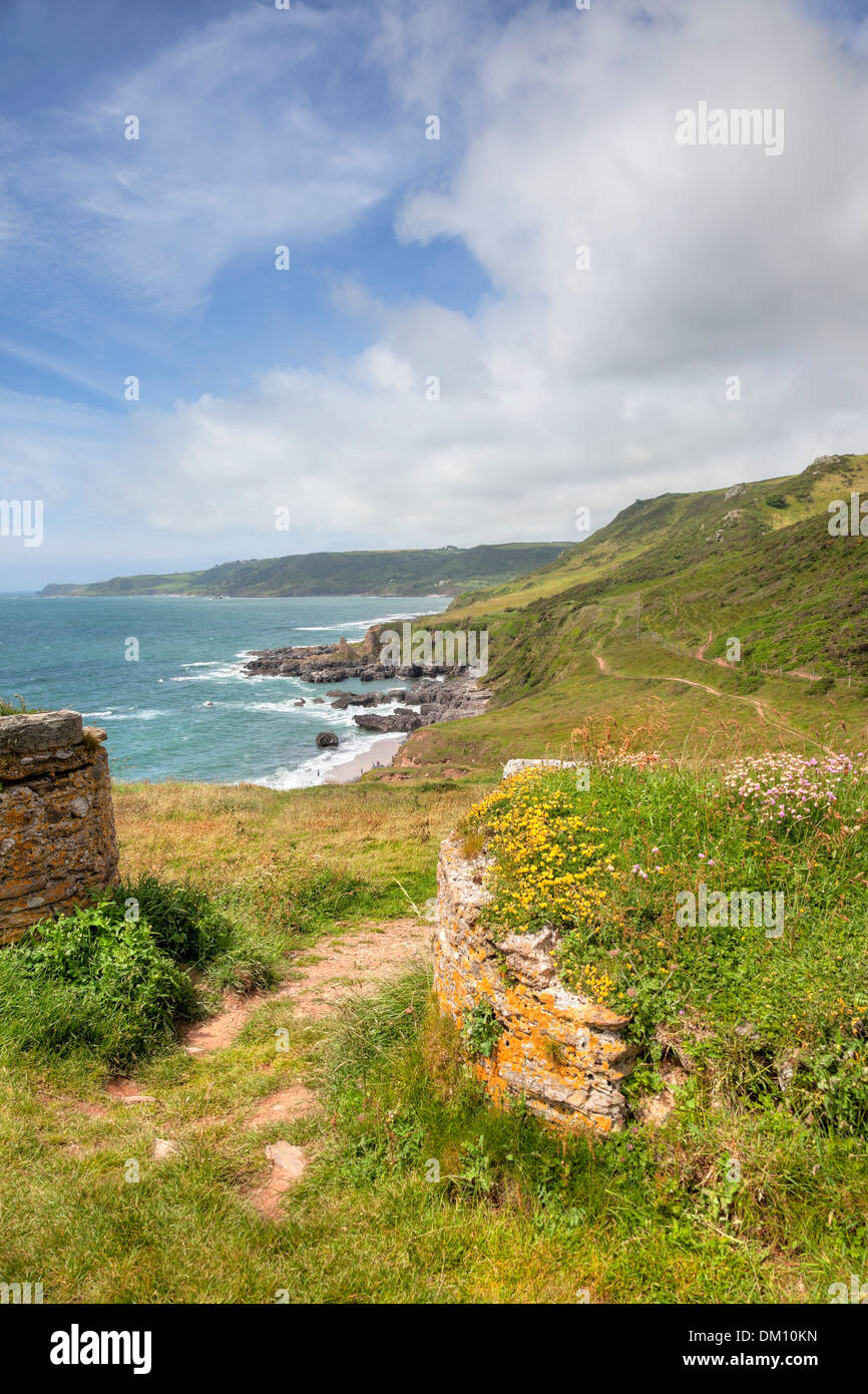 Devon coast landscape hi-res stock photography and images - Alamy