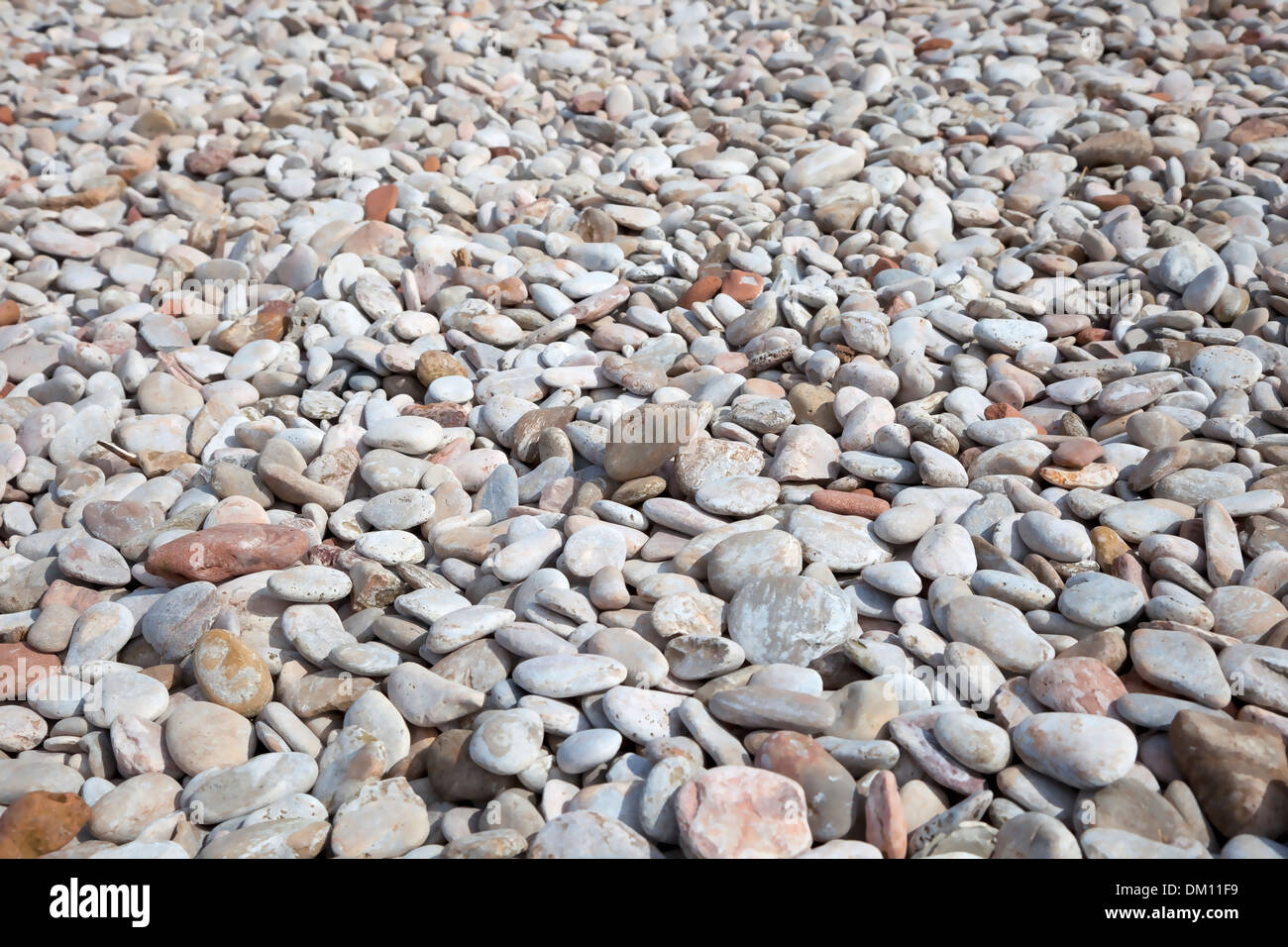 Seaside garden pebbles hi-res stock photography and images - Alamy