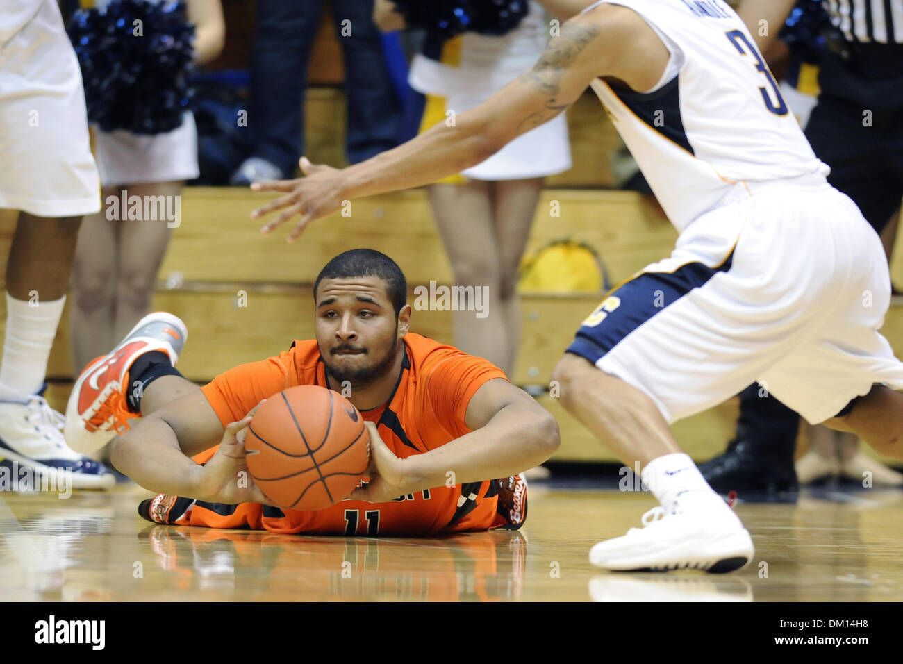 Bears stomach hi-res stock photography and images - Alamy