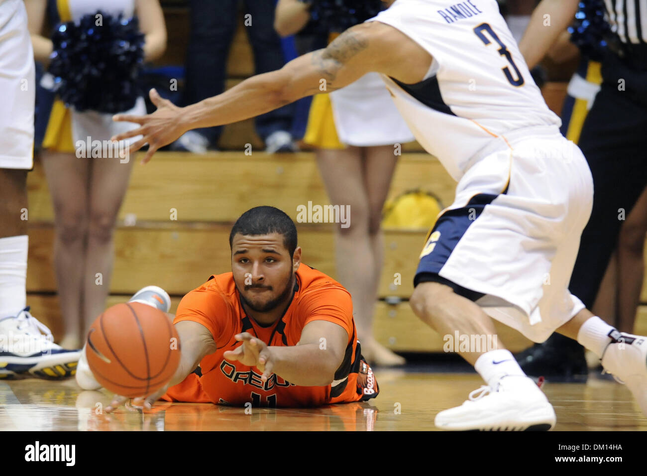 Bears stomach hi-res stock photography and images - Alamy