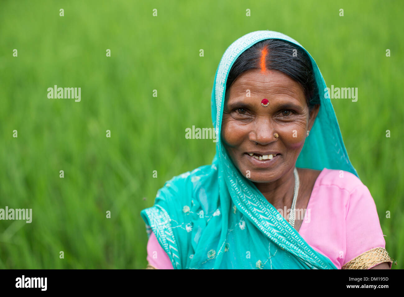 India rice crops hi-res stock photography and images - Alamy