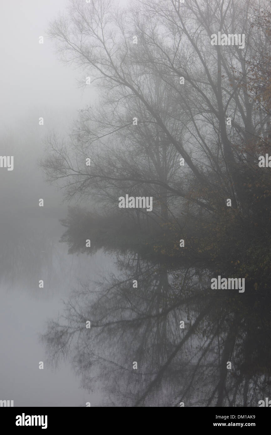 Winter reflections: trees reflected in a river on a cold misty winter ...