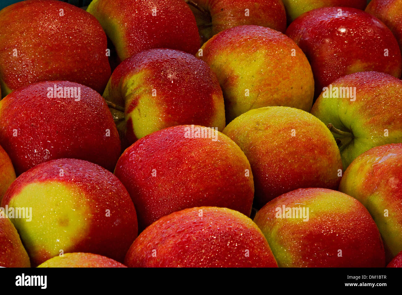 tray of apples Stock Photo - Alamy