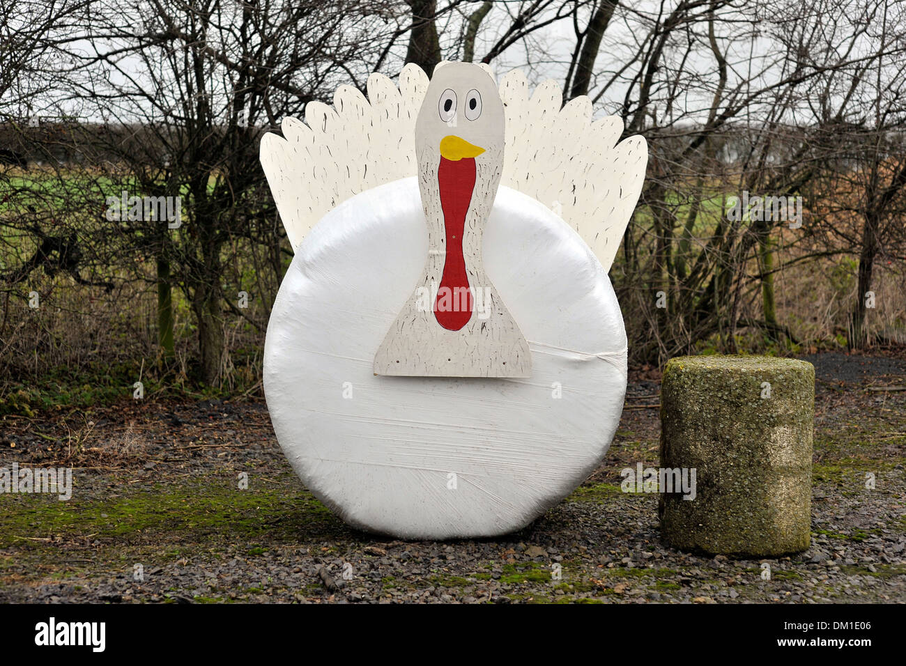 christmas turkey model funny Stock Photo - Alamy