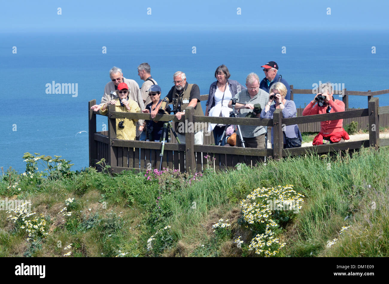 older people bird watching Stock Photo - Alamy