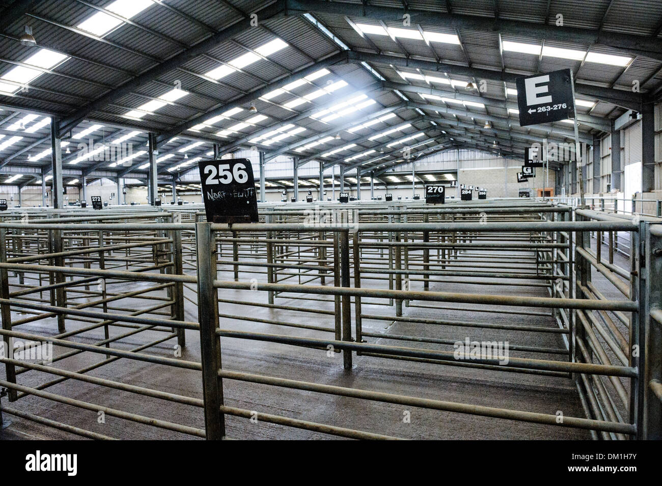Interior of an auction market Stock Photo - Alamy