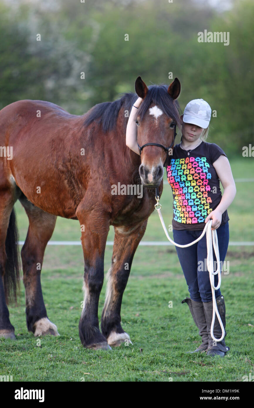 Teenage girl with a bay Welsh Cob Stock Photo - Alamy