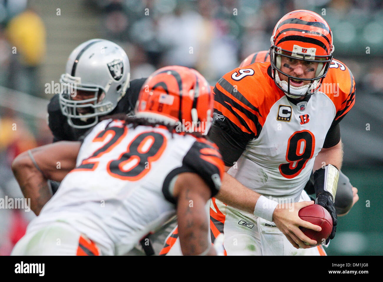 Cincinnati quarterback Carson Palmer (9) hands off to Cincinnati ...