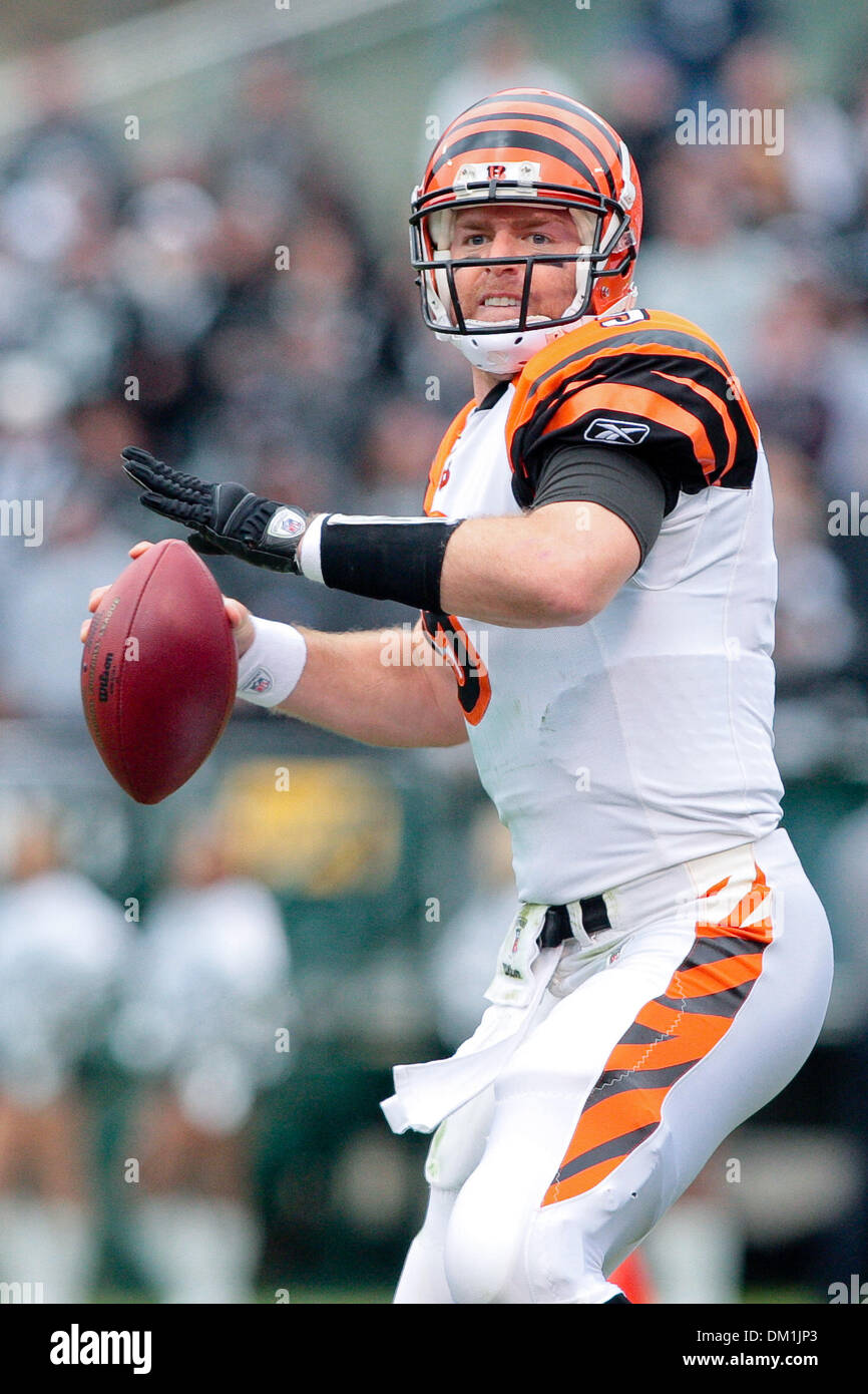 Cincinnati quarterback Carson Palmer (9) during game action at the ...