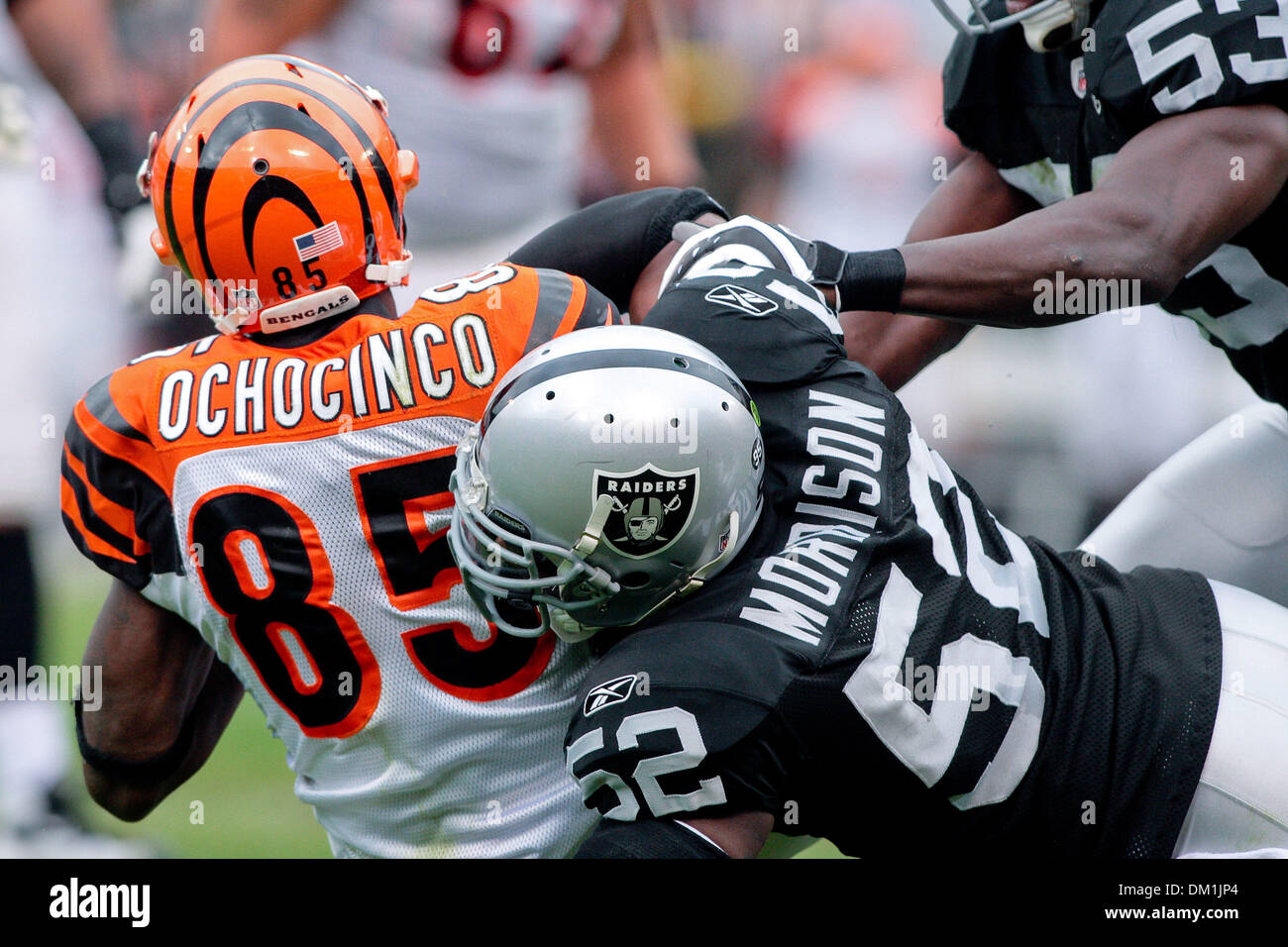 Cincinnati wide receiver Chad Ochocinco (85) is tackled by Oakland ...