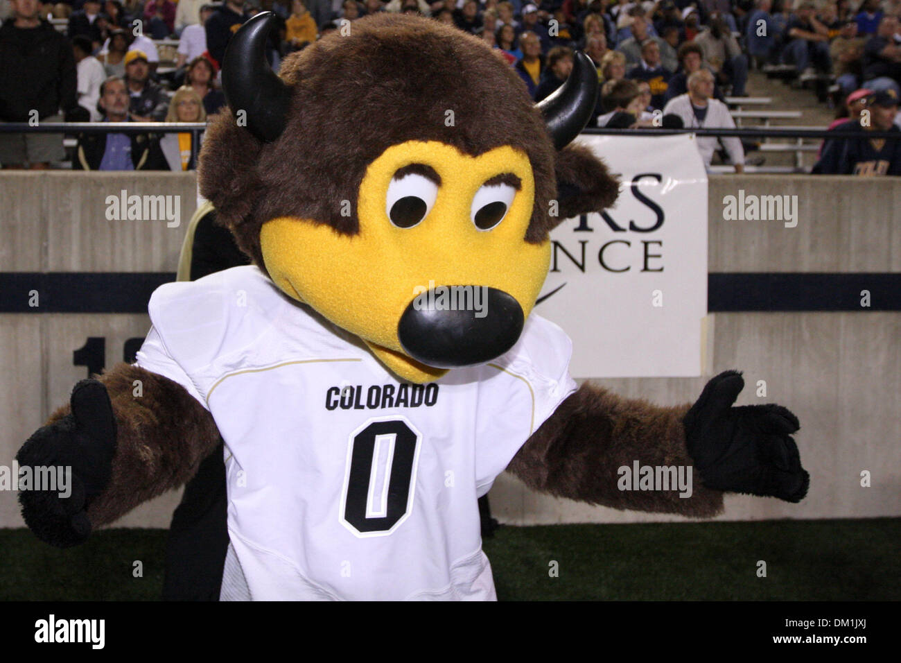 Colorado mascot ''Chip''. University of Colorado, of the Big 12 ...