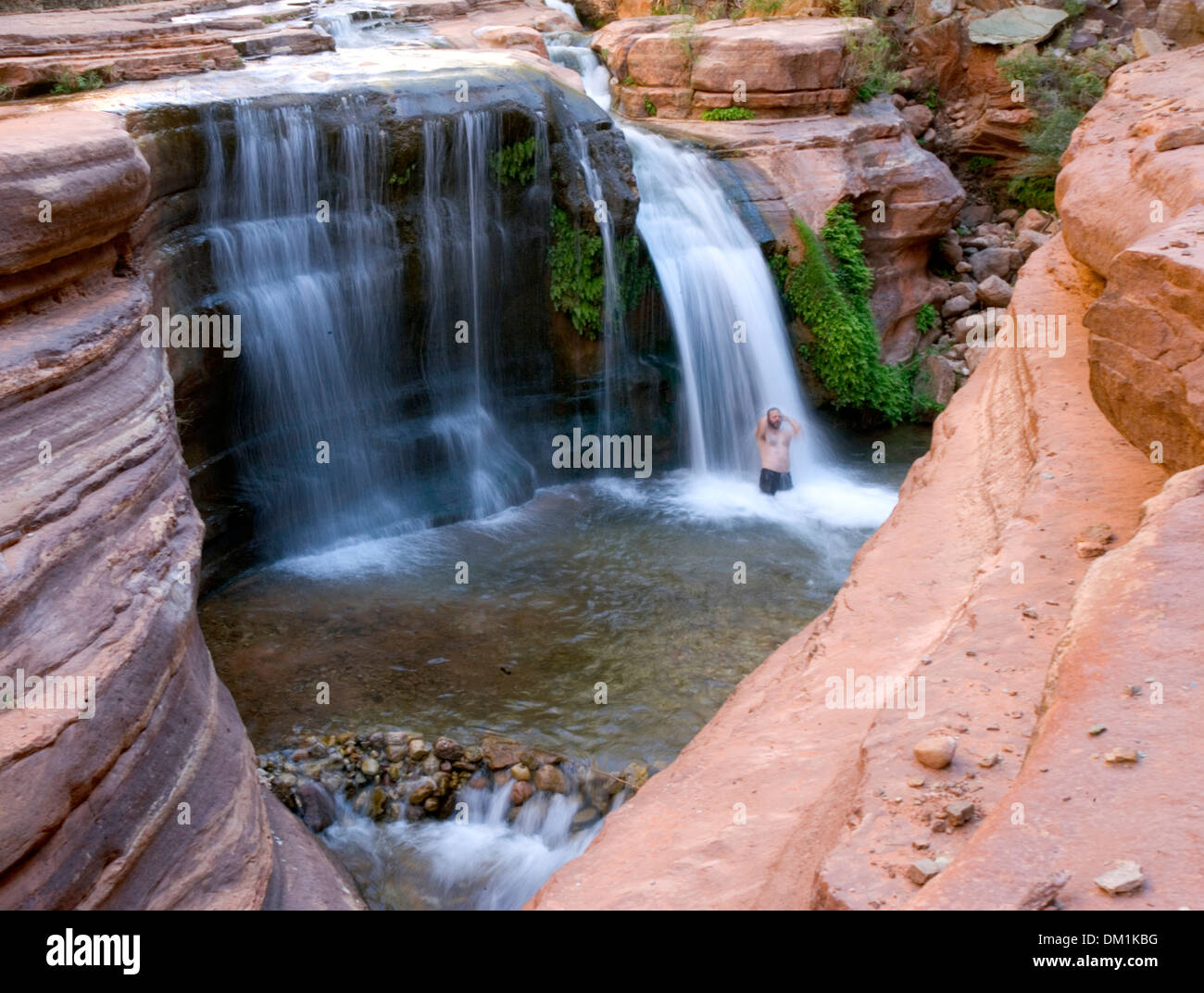 A man baths in a waterfall in a side canyon of the Grand Canyon Stock ...