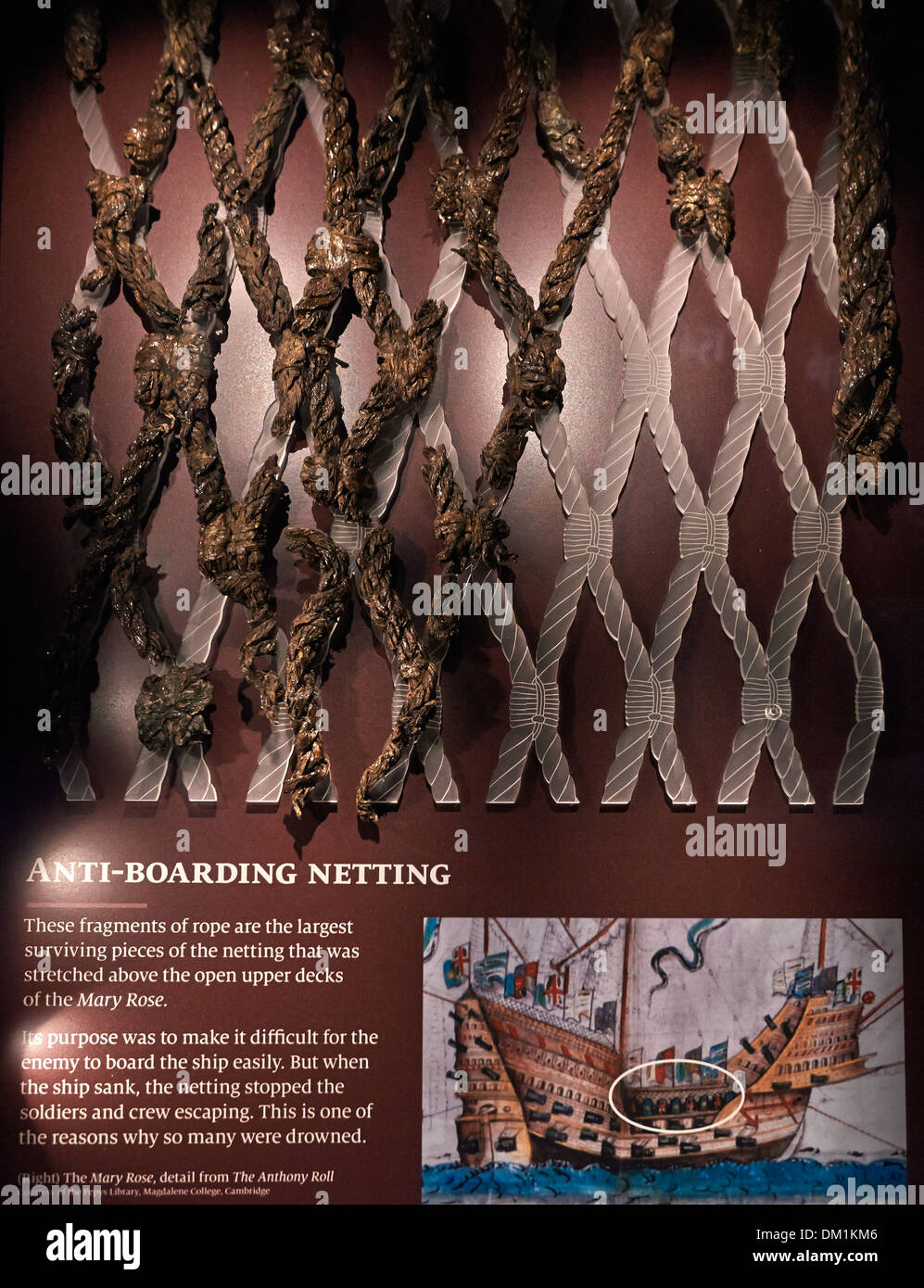 The Mary Rose was a carrack-type warship of the English Tudor navy of ...