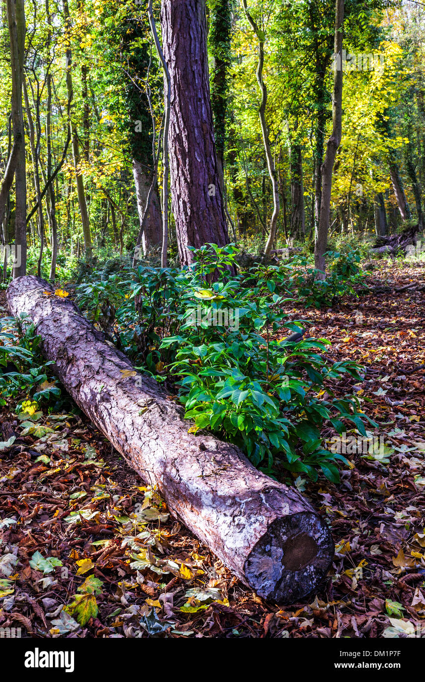 Managed colors hi-res stock photography and images - Alamy