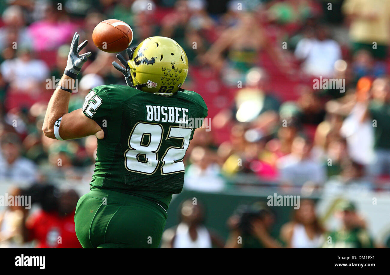 South Florida tight end Ben Busbee #82 catches the ball down field ...