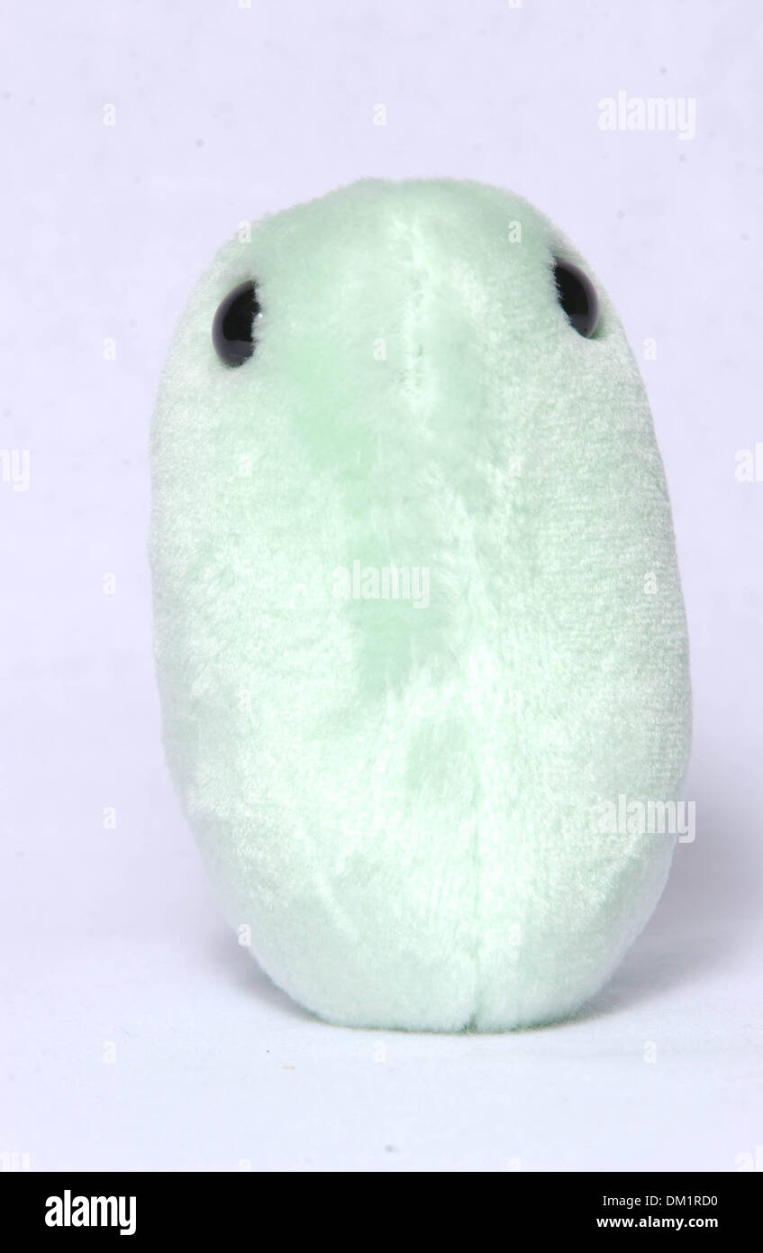 June 16, 2001 - K41227AR .GIANT MICROBES. ANDREA RENAULT/ THE FLU ...