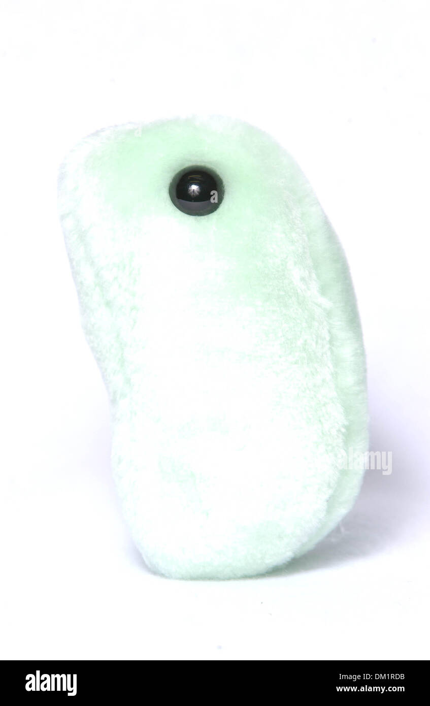 June 16, 2001 - K41227AR .GIANT MICROBES. ANDREA RENAULT/ THE FLU ...