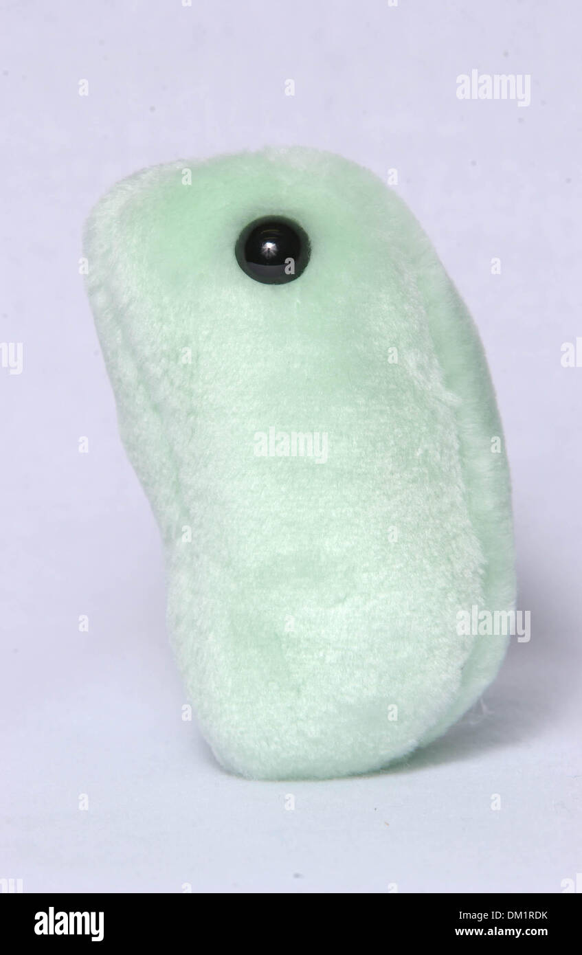 June 16, 2001 - K41227AR .GIANT MICROBES. ANDREA RENAULT/ THE FLU ...