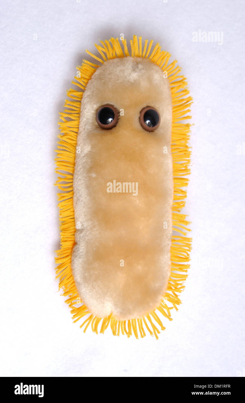 June 19, 2001 - K41227AR .GIANT MICROBES . ANDREA RENAULT/ EAR STOMACH ...