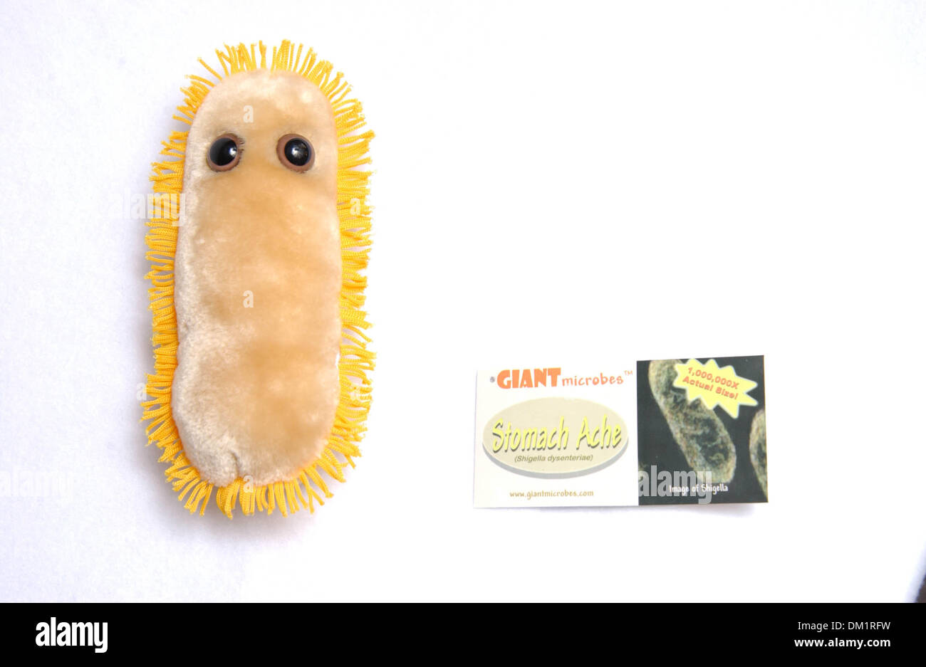 June 19, 2001 - K41227AR .GIANT MICROBES . ANDREA RENAULT/ EAR STOMACH ...