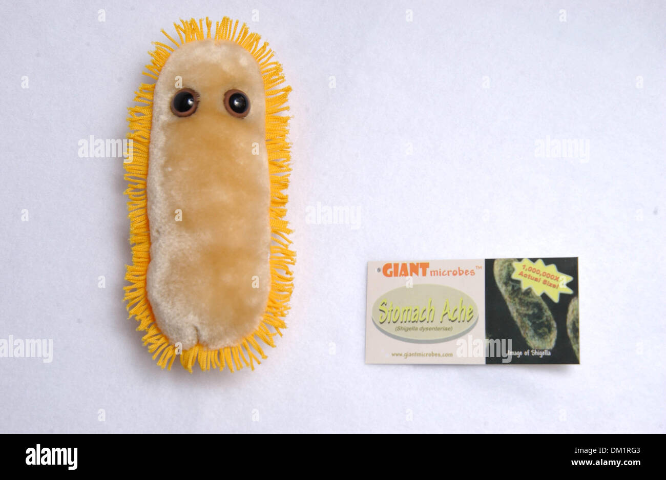 June 19, 2001 - K41227AR .GIANT MICROBES . ANDREA RENAULT/ EAR STOMACH ...