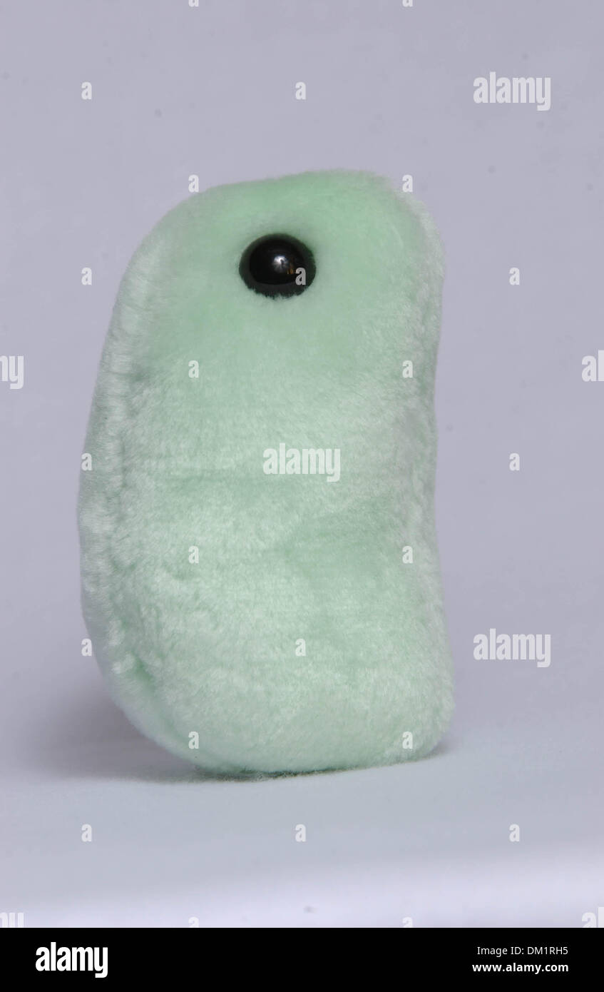 June 19, 2001 - K41227AR .GIANT MICROBES . ANDREA RENAULT/ EAR THE FLU ...
